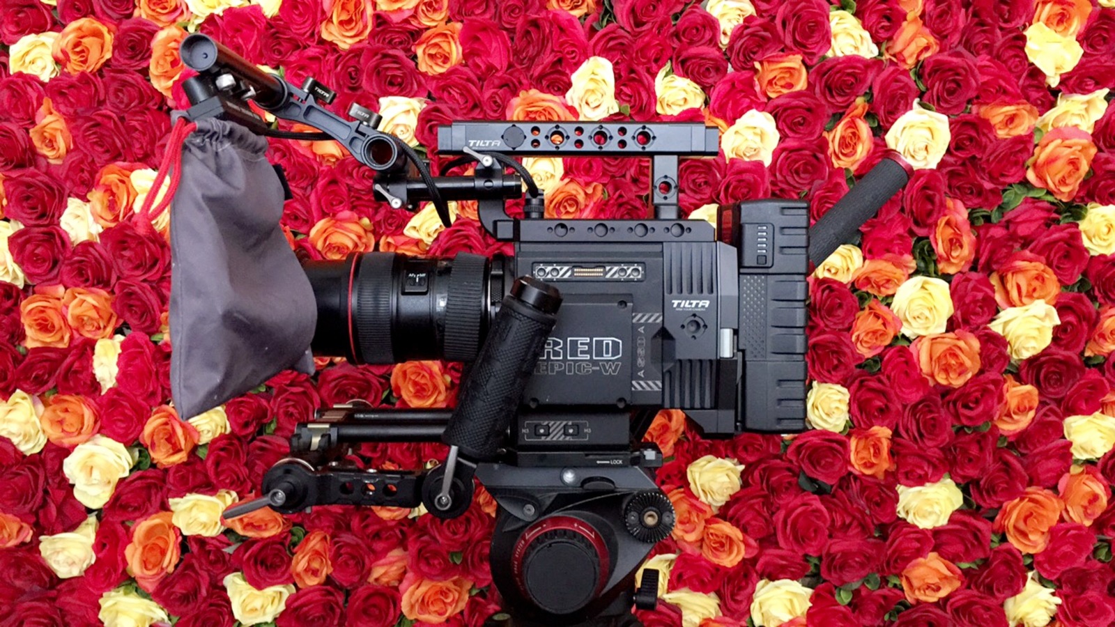 Rent a RED EPIC-W Package & Tilta Cage, Best Prices | ShareGrid Los ...